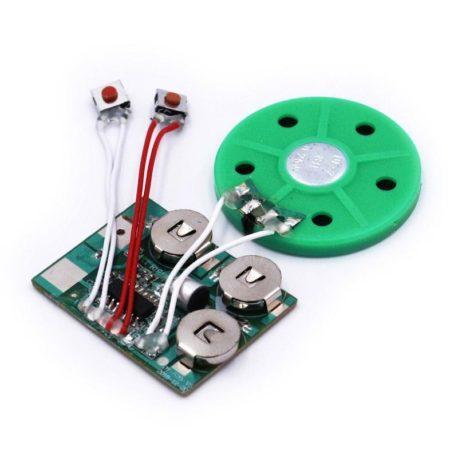 20 Second Self-Recordable Sound Module Voice Chip | Funimprint