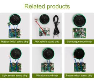 20 Second Self-Recordable Sound Module Voice Chip | Funimprint
