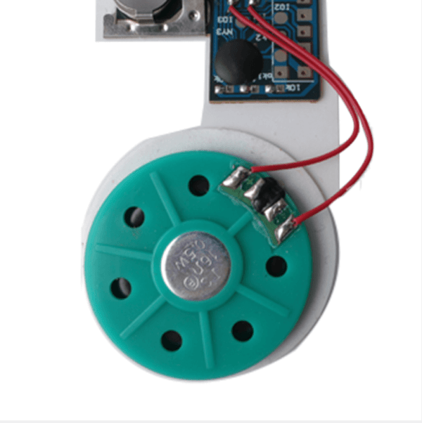 20 Second Self-Recordable Sound Module Voice Chip | Funimprint