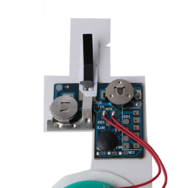 20 Second Self-Recordable Sound Module Voice Chip | Funimprint